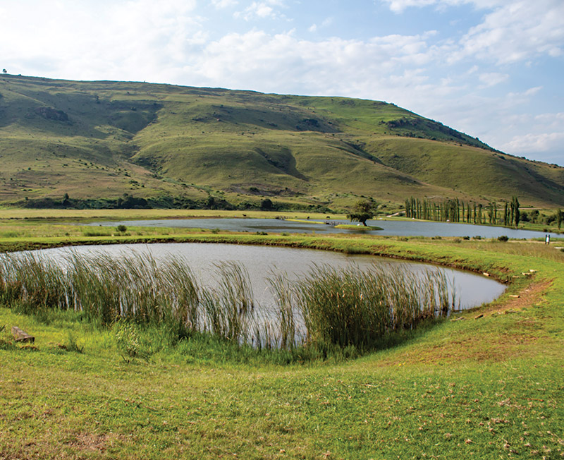 Doornkop Fish & Wildlife - QVI