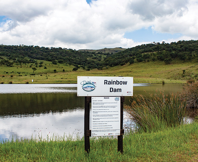 Doornkop Fish & Wildlife - QVI