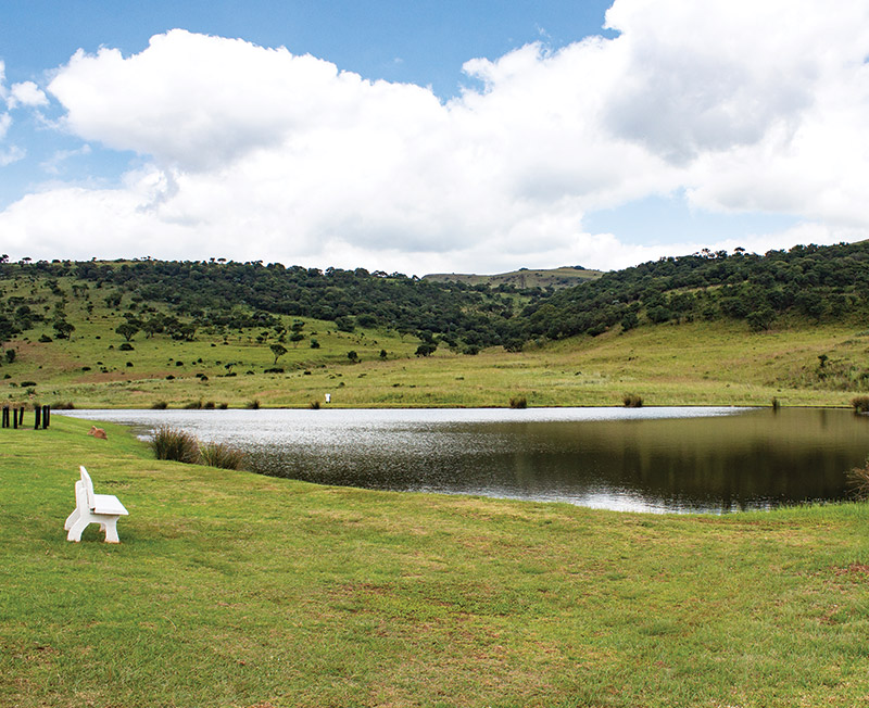 Doornkop Fish & Wildlife - QVI