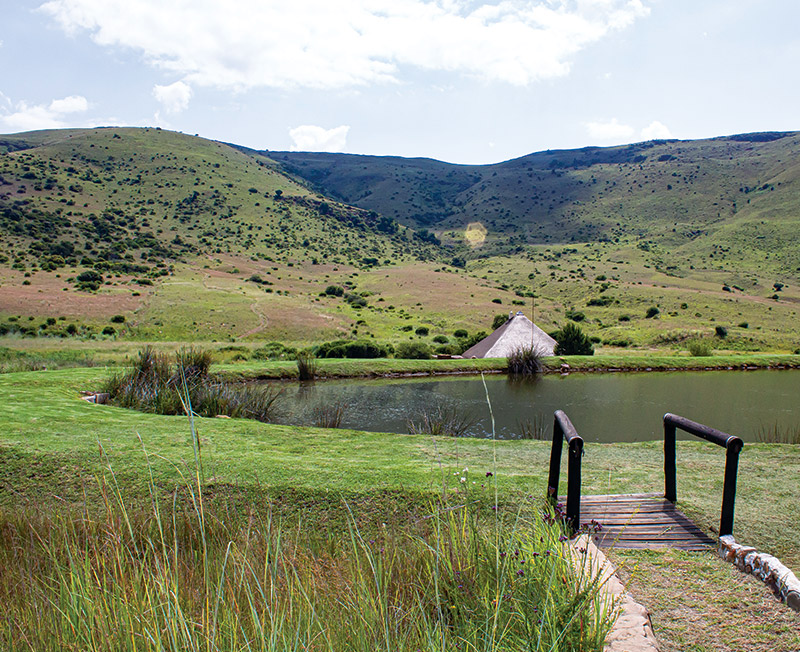 Doornkop Fish & Wildlife - QVI