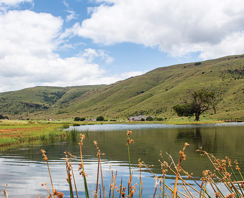 Doornkop Fish & Wildlife - QVI