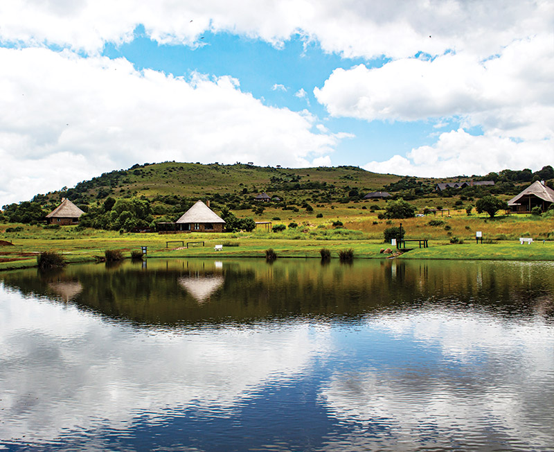 Doornkop Fish & Wildlife - QVI